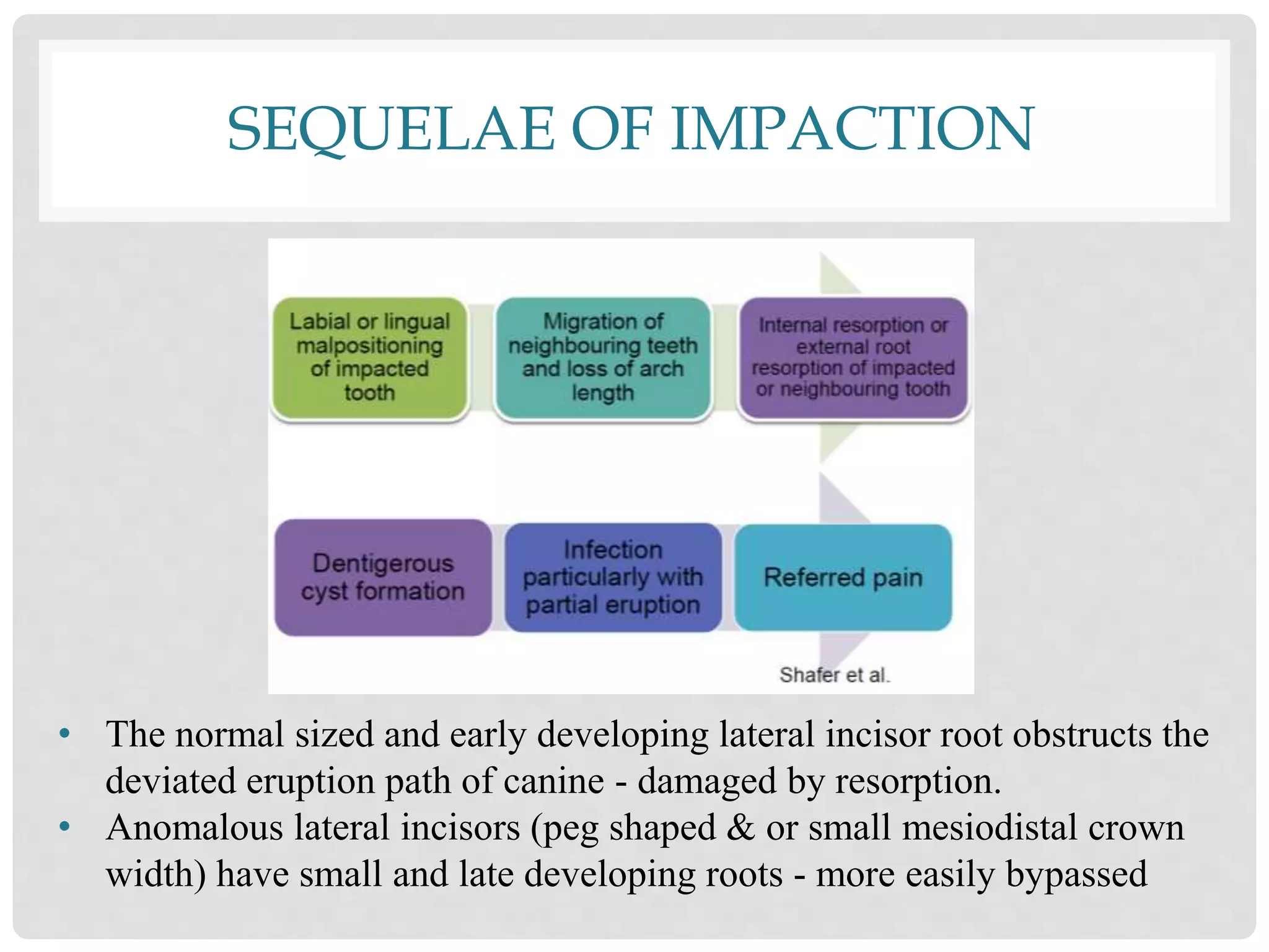 Management of impacted canines | PPTX
