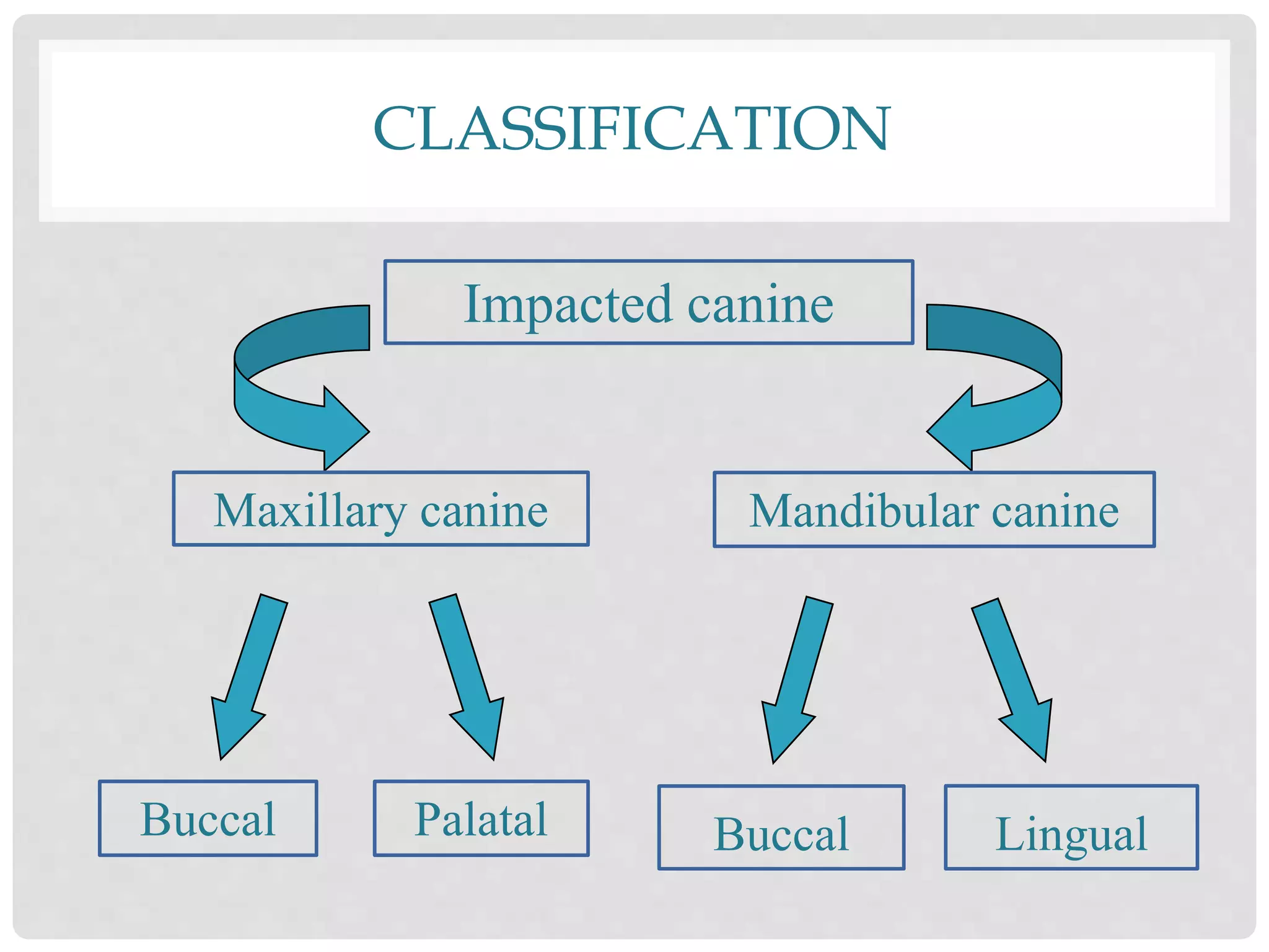 Management of impacted canines | PPTX