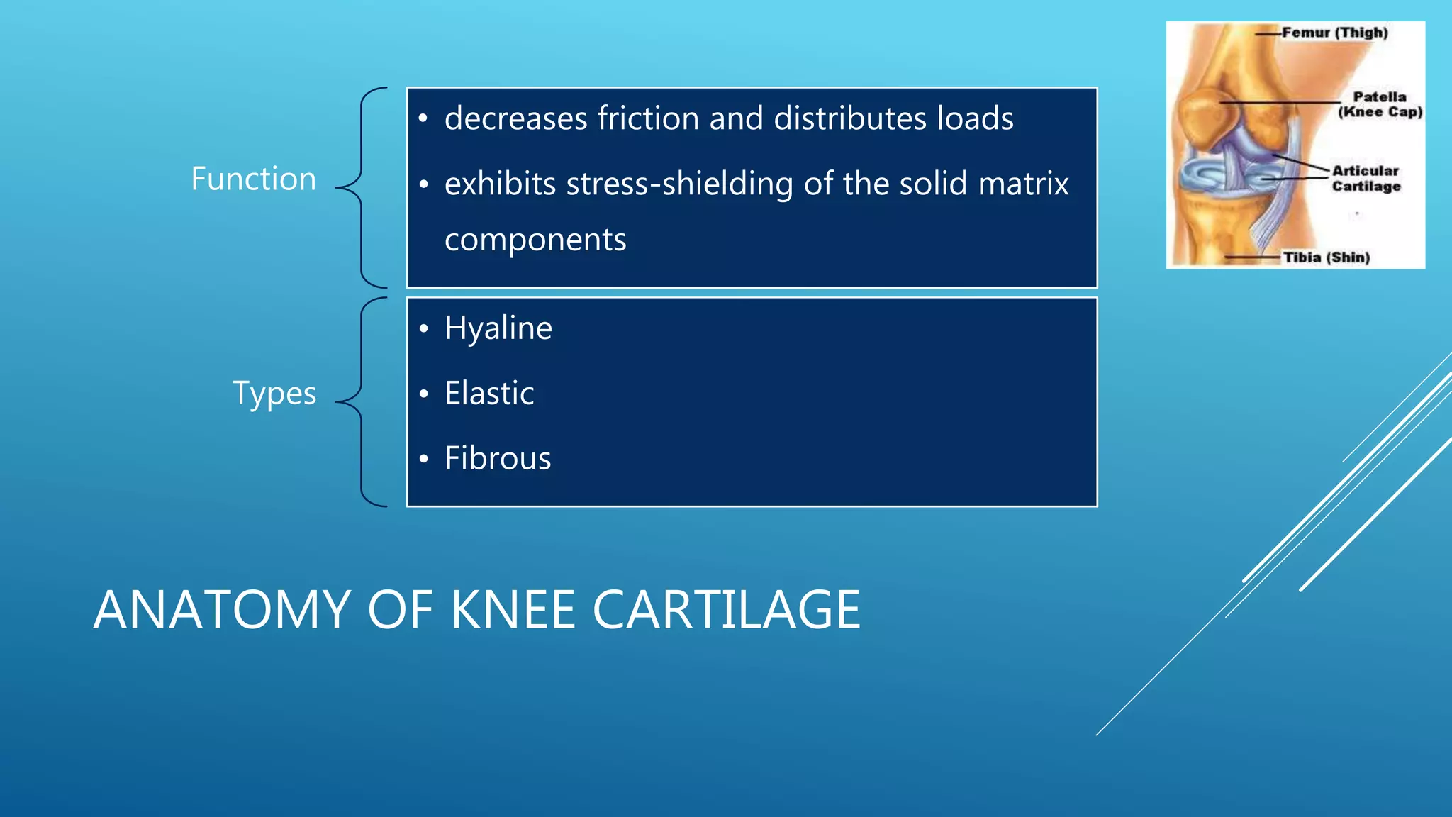 Management of knee cartilage defect & meniscus tear | PPTX
