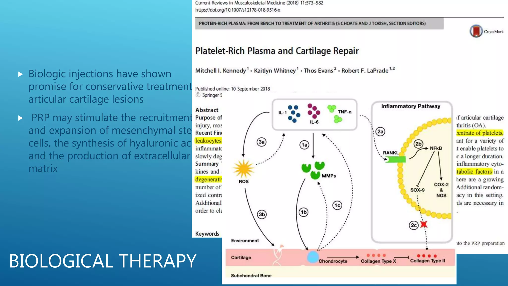 Management of knee cartilage defect & meniscus tear | PPTX
