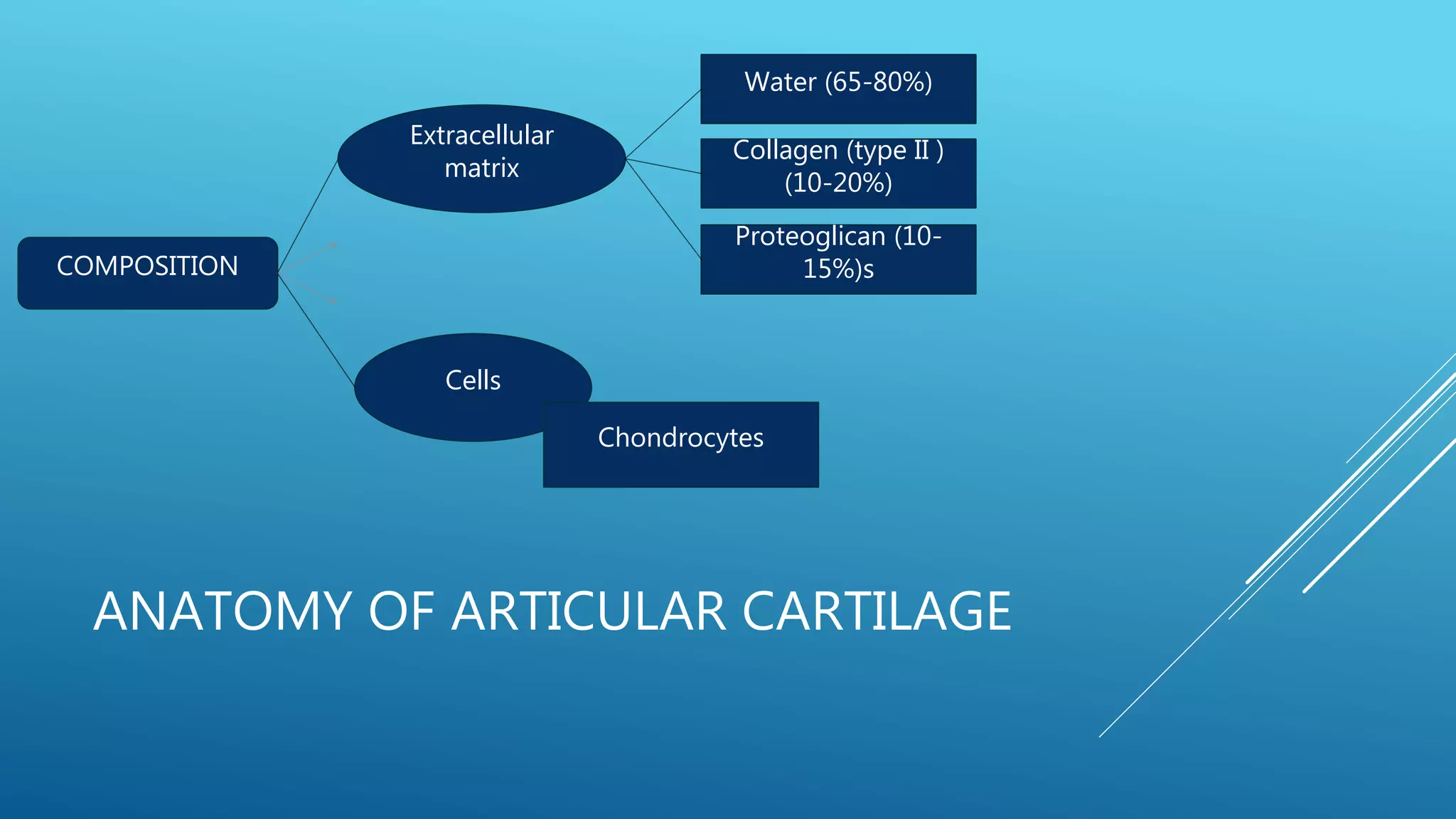 Management of knee cartilage defect & meniscus tear | PPTX