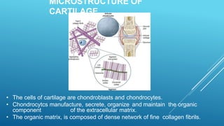 Management of knee cartilage defect & meniscus tear | PPTX