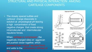 Management of knee cartilage defect & meniscus tear | PPTX