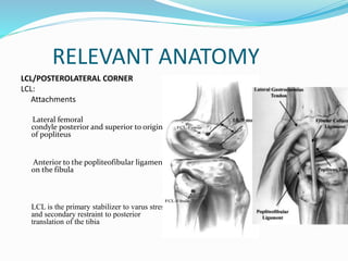management of knee ligament injuries 2.pptx