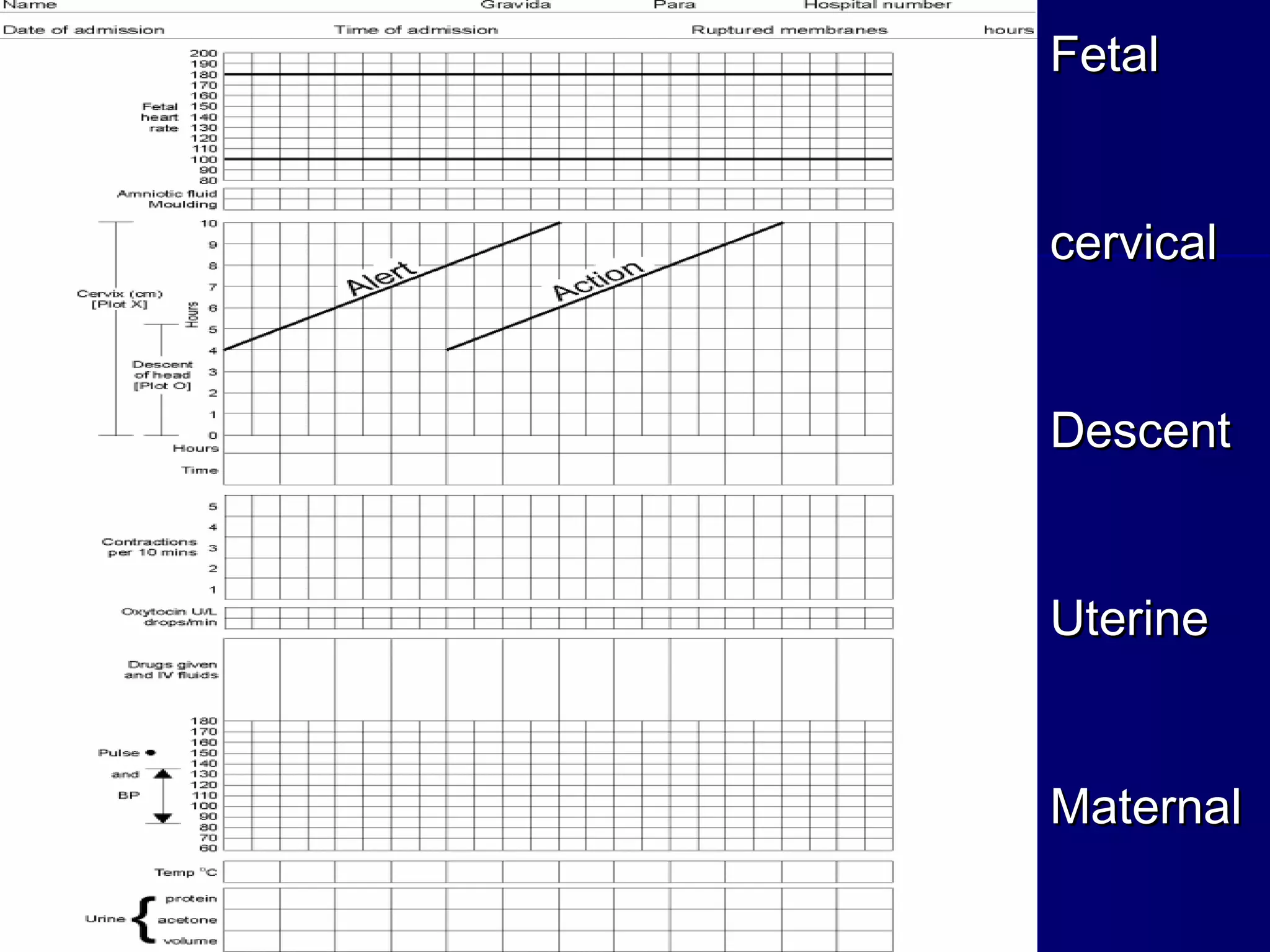 Management of Labor- 1st ,2nd and 3rd stages | PPT