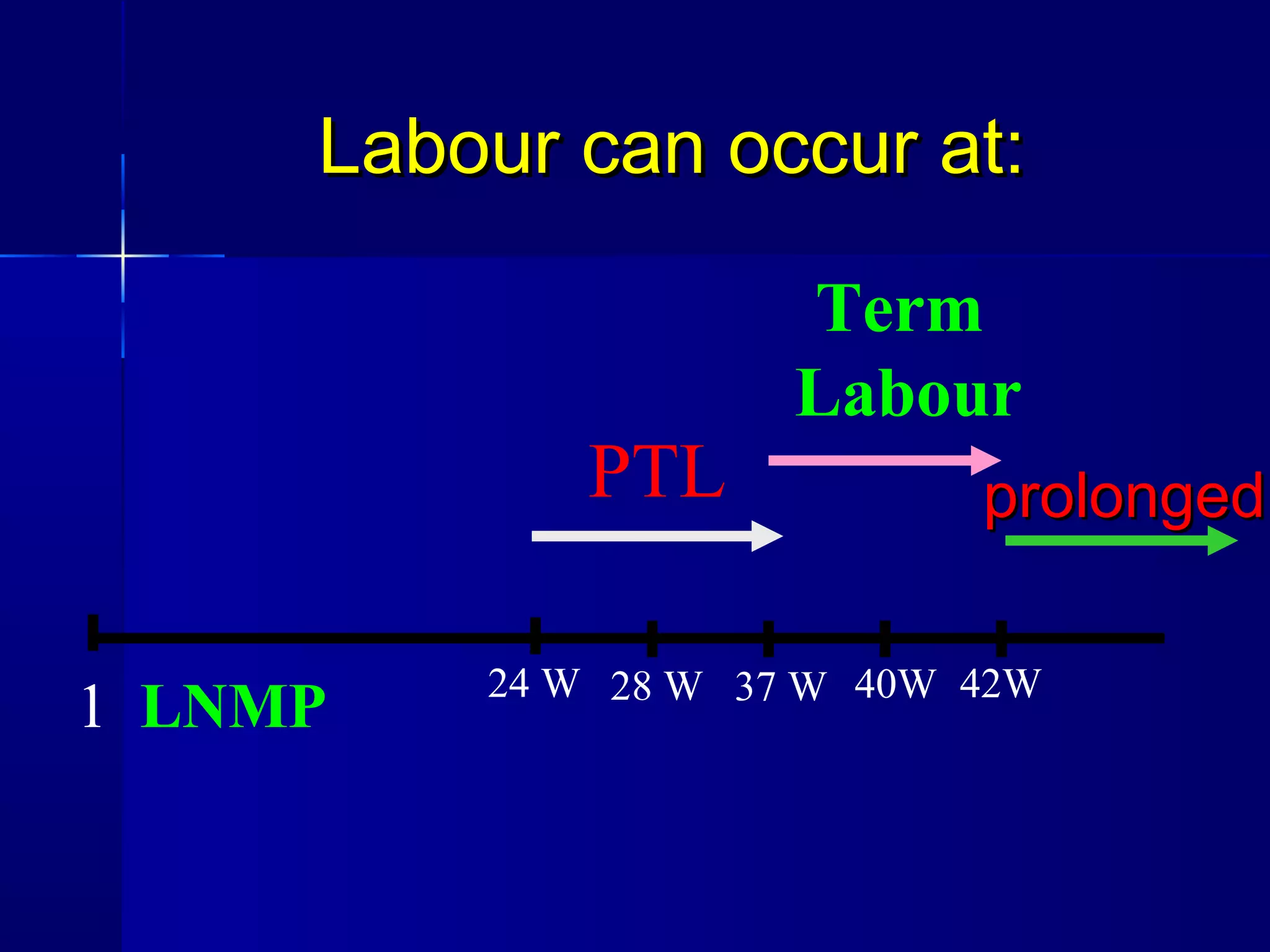 Management of Labor- 1st ,2nd and 3rd stages | PPT