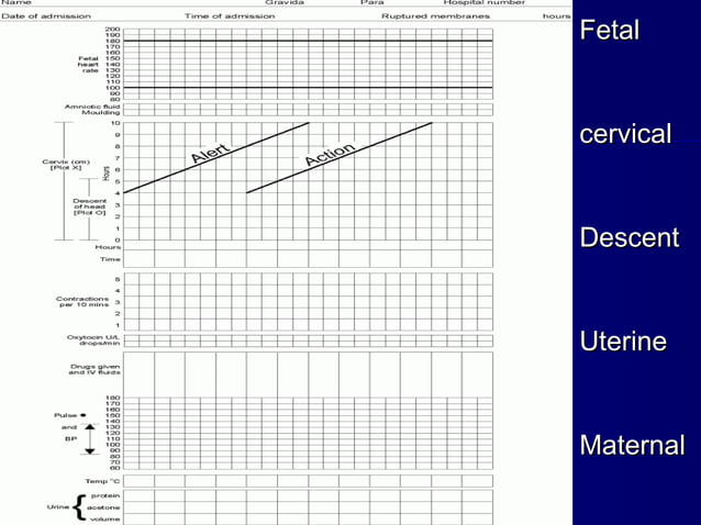 Management of Labor- 1st ,2nd and 3rd stages | PPT | Pregnancy ...