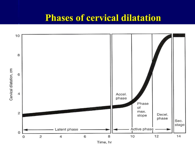 Management of Labor- 1st ,2nd and 3rd stages | PPT | Pregnancy ...