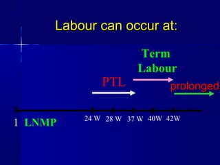 Management of Labor- 1st ,2nd and 3rd stages | PPT