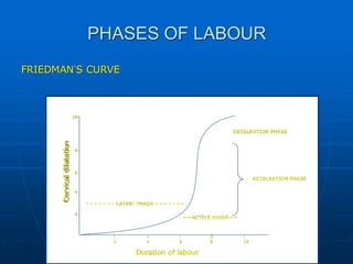 Management of Normal Term Labour - UG OBGYN | PDF