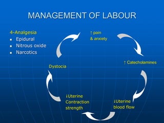 Management of Normal Term Labour - UG OBGYN | PDF