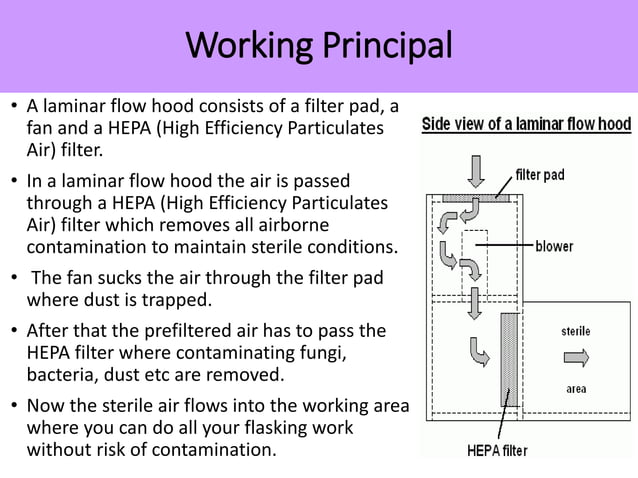 Management of laminar air flow
