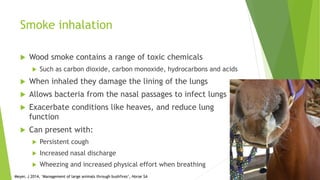 Management of large animals through bushfires | PPT