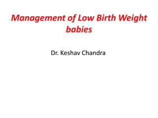 Management of LBW Babies | PPTX