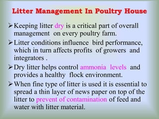 Management of Litter And Cages In Poultry House System.pdf