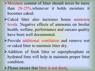 Management of Litter And Cages In Poultry House System.pdf