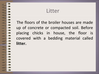 Management of litter for broiler | PPT