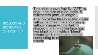 Management of major pest of Guava ASSIGNMENT 1...pdf