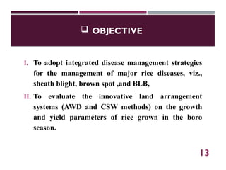 Management of Major Rice Diseases to Innovative Land Arrangement.pptx