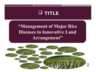 Management of Major Rice Diseases to Innovative Land Arrangement.pptx
