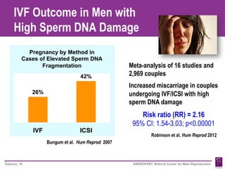 Management of Male Infertility | PDF