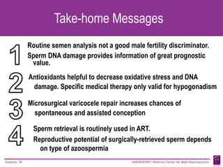 Management of Male Infertility | PDF
