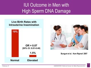 Management of Male Infertility | PDF
