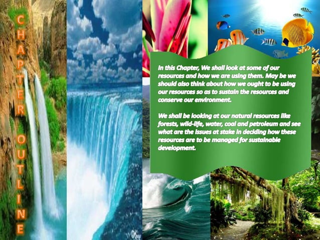 Natural resources | PPTX