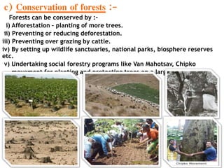 Management of natural resources.ppt