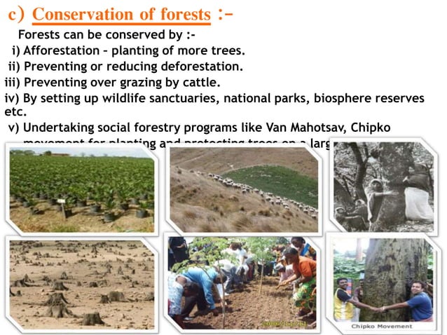 Management of natural resources.ppt | Environmental Services Industry ...