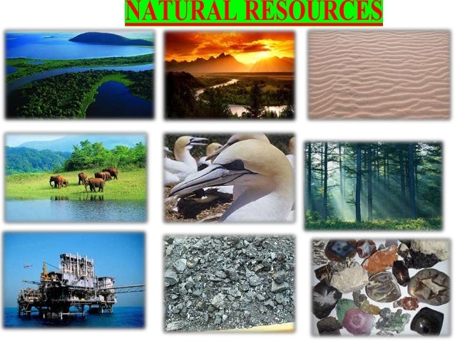 Management of natural resources.ppt