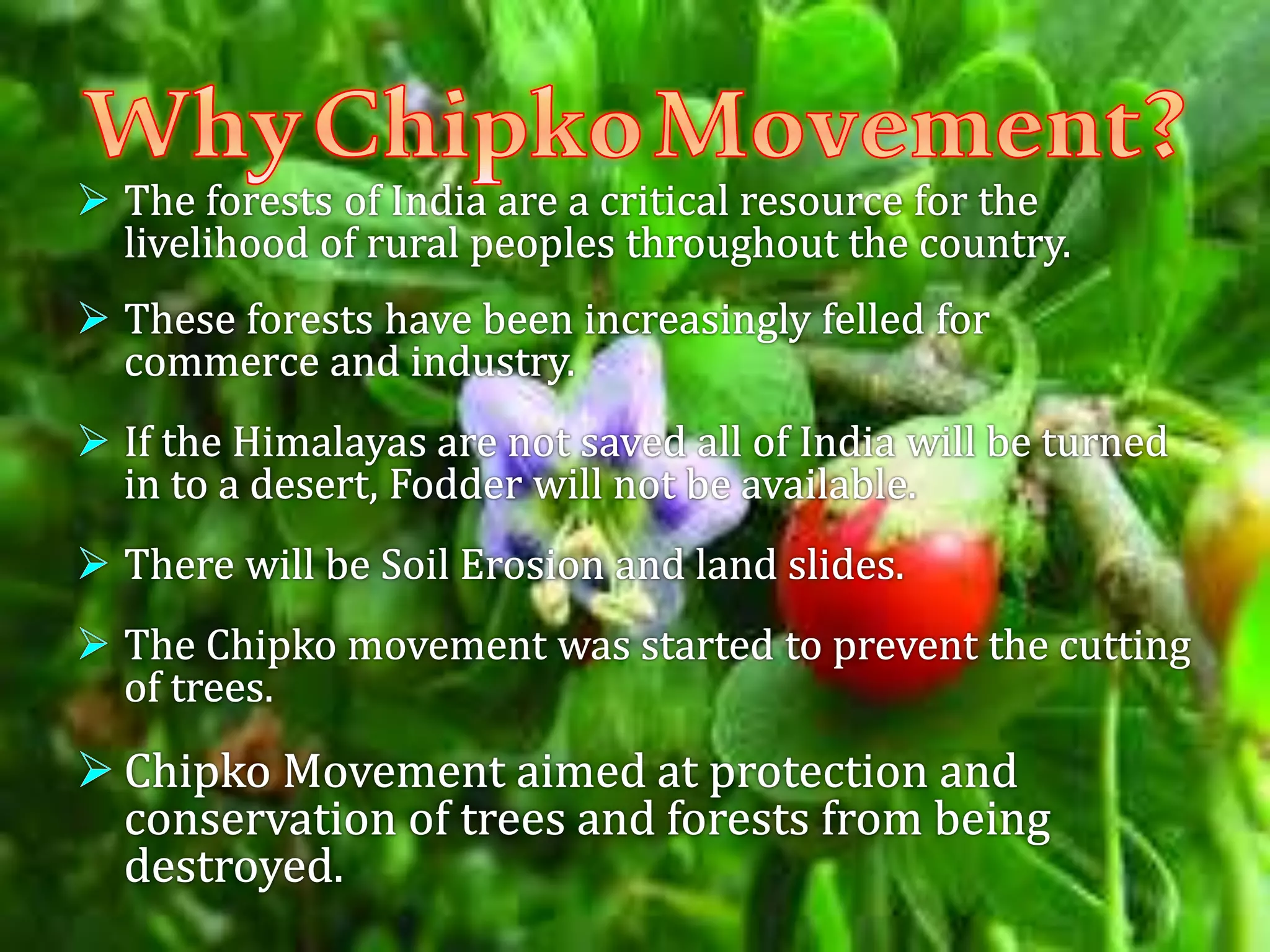 Management of Natural Resources - Chipko Movement | PPTX