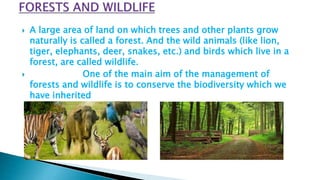 Management of natural resources | PPTX