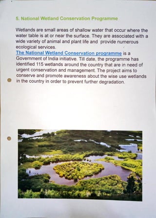 Management of natural resources | PDF