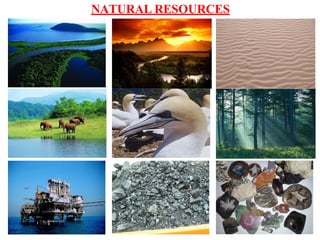 MANAGEMENT OF NATURAL RESOURCES. nnnnn.pdf