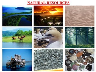 MANAGEMENT OF NATURAL RESOURCES.ppt-1.pdf