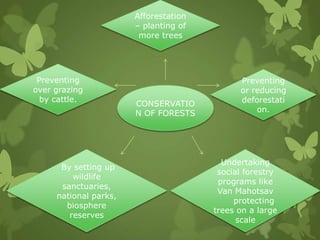 Management of Natural Resources 2.pptx hh | PPT