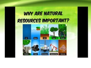 management of natural resources final.pptx
