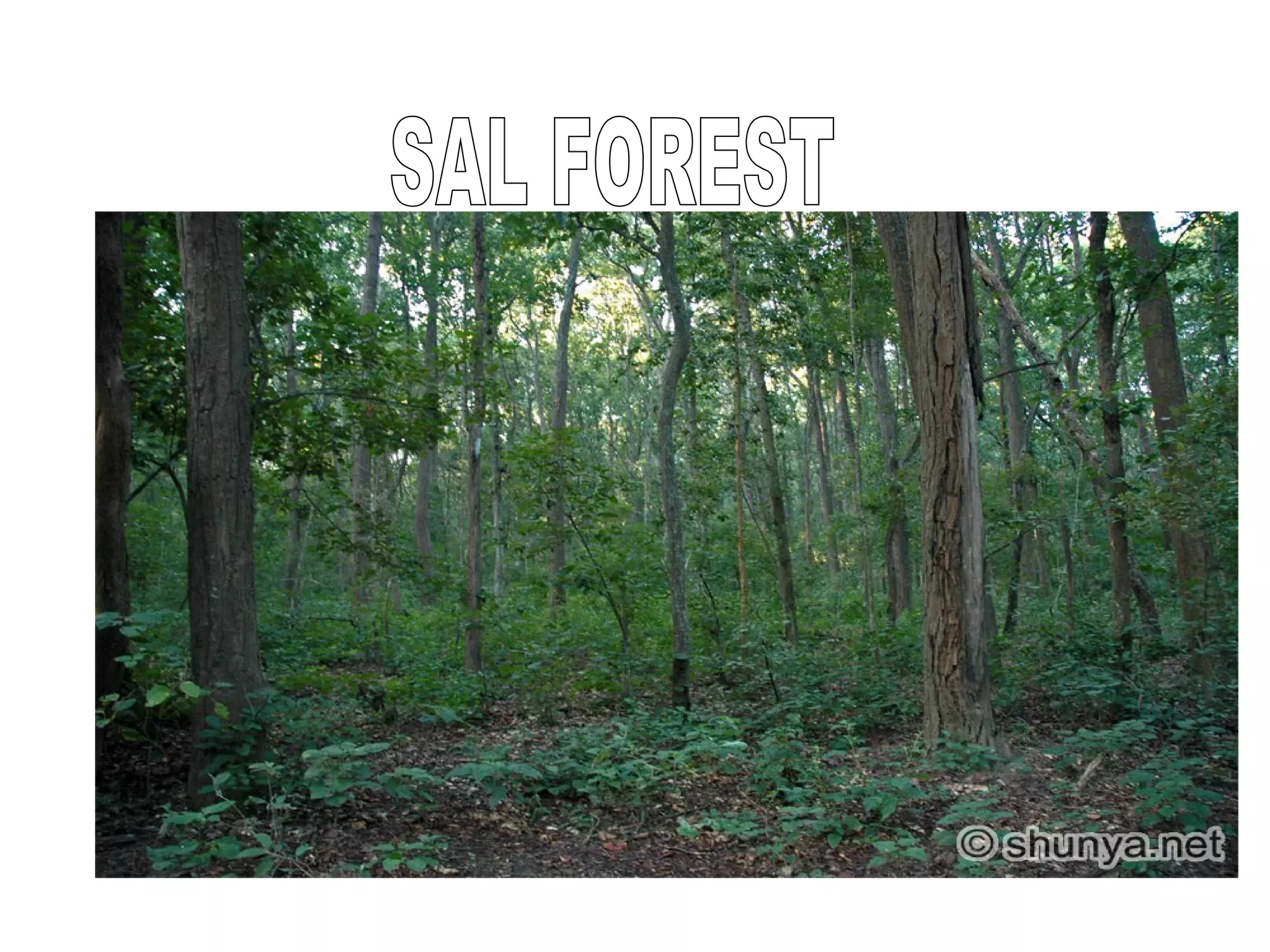 Management of natural resources ppt | PPT