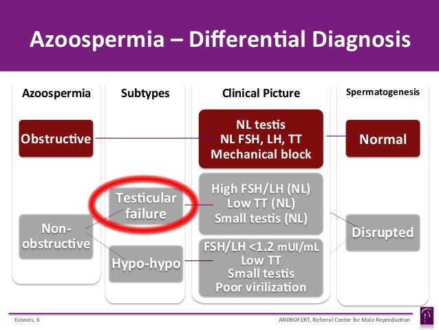 Management of Non Obstructive Azoospermia