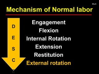 Management of normal labor process and pelvis | PPT