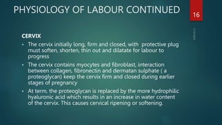 MANAGEMENT OF NORMAL LABOUR IN WOMEN IN HOSPITALS | PPT