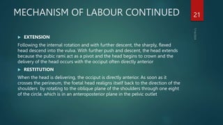 MANAGEMENT OF NORMAL LABOUR IN WOMEN IN HOSPITALS | PPT