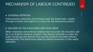 MANAGEMENT OF NORMAL LABOUR IN WOMEN IN HOSPITALS | PPT