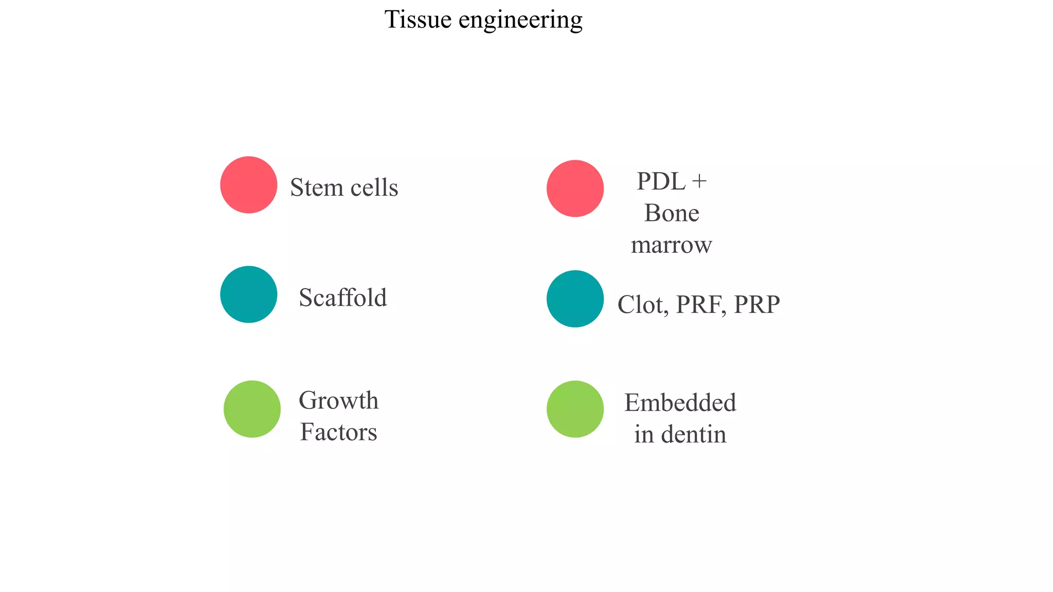 Management of open apex | PPT