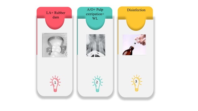 Management of open apex | PPT