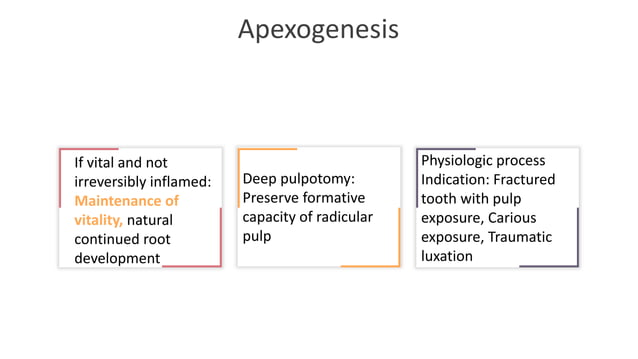 Management of open apex | PPT