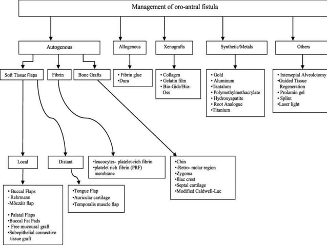 Management of oro antral fistula | PPTX | Ear, Nose and Throat ...