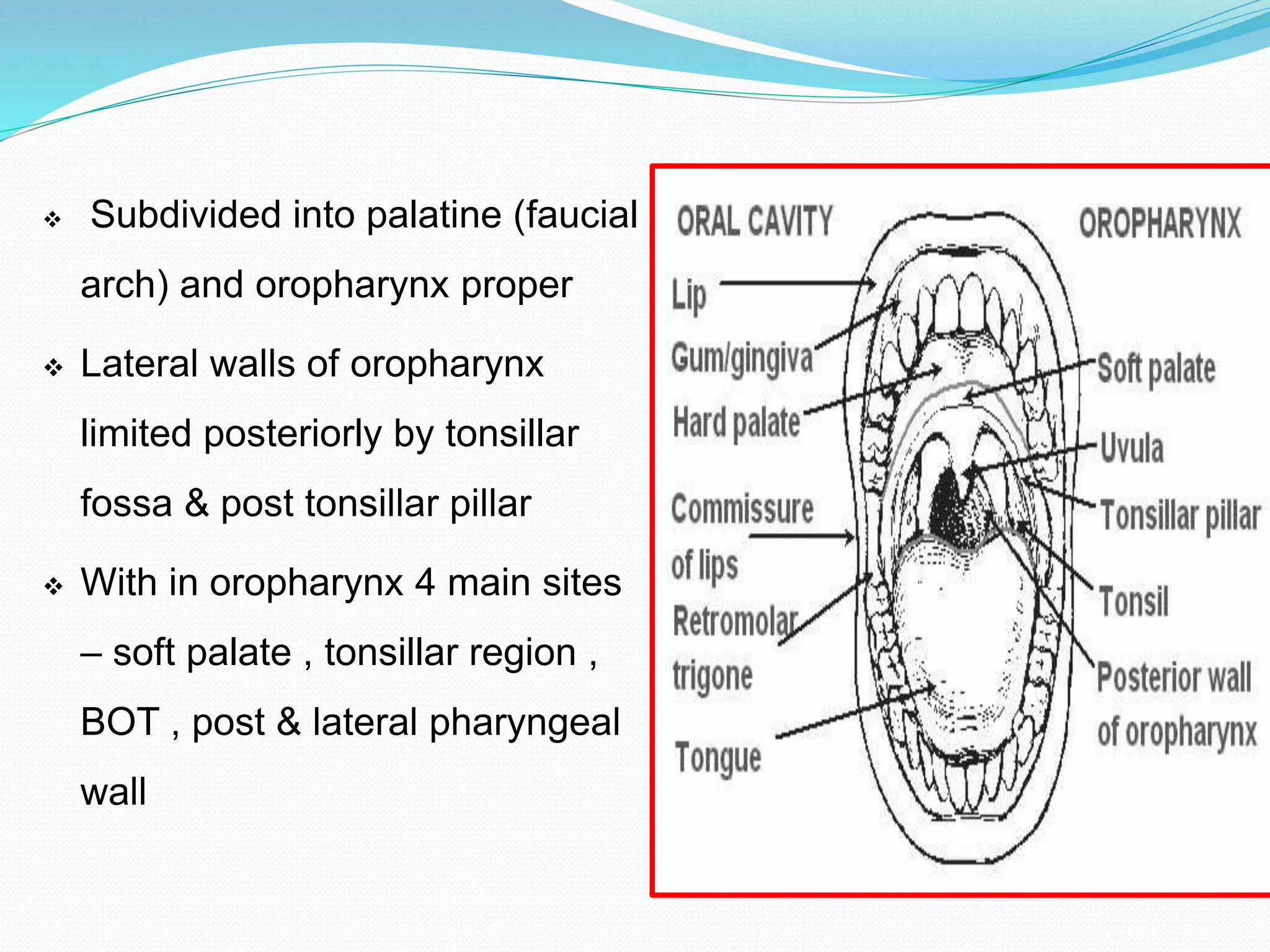 Management of oropharyngeal tumors | PPTX