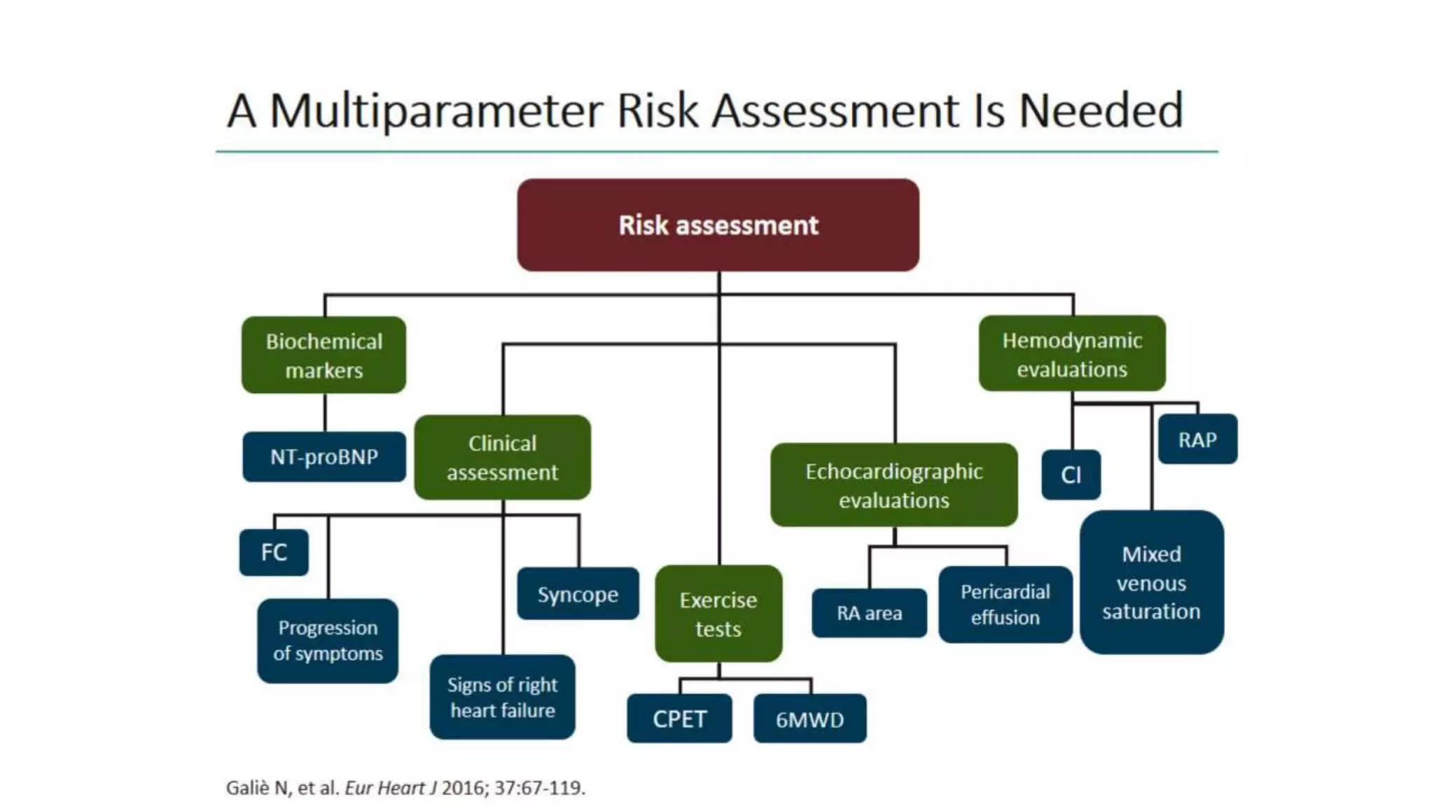 Management of PAH.pptx